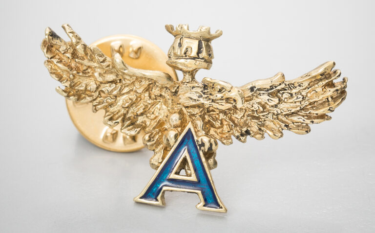 Pins oro - Picchiani e Barlacchi